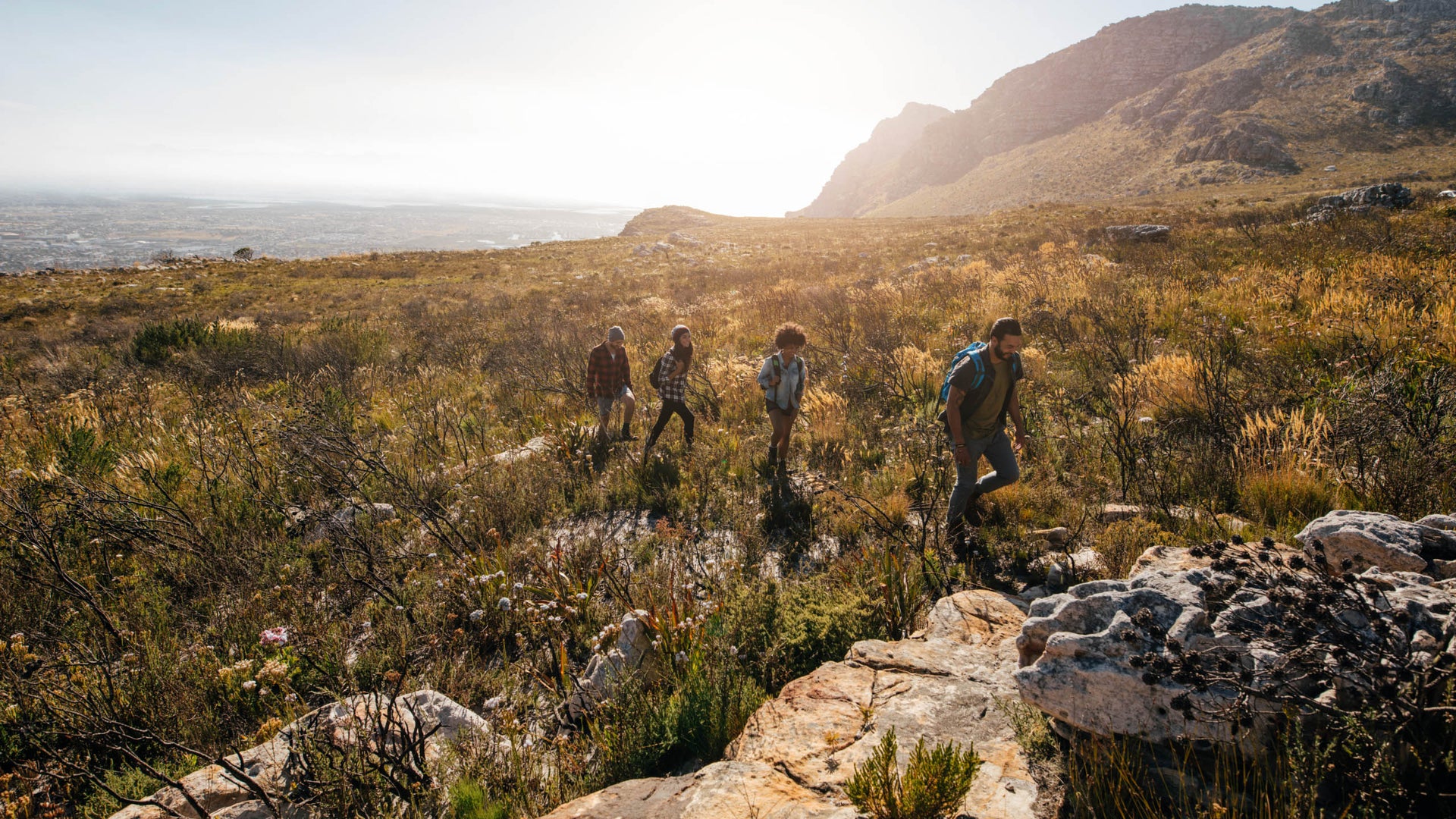 Trunks | BN3TH Underwear – BN3TH.com